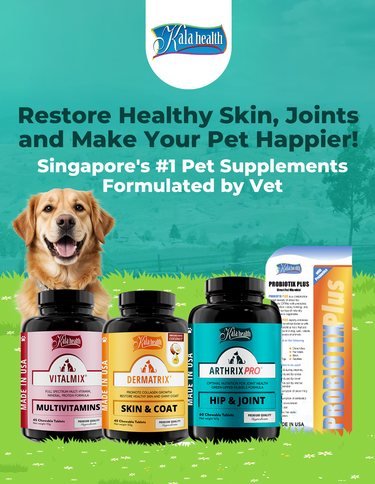 Pet Supplements for Dogs, Cats and Small Animals – Kala Health SG
